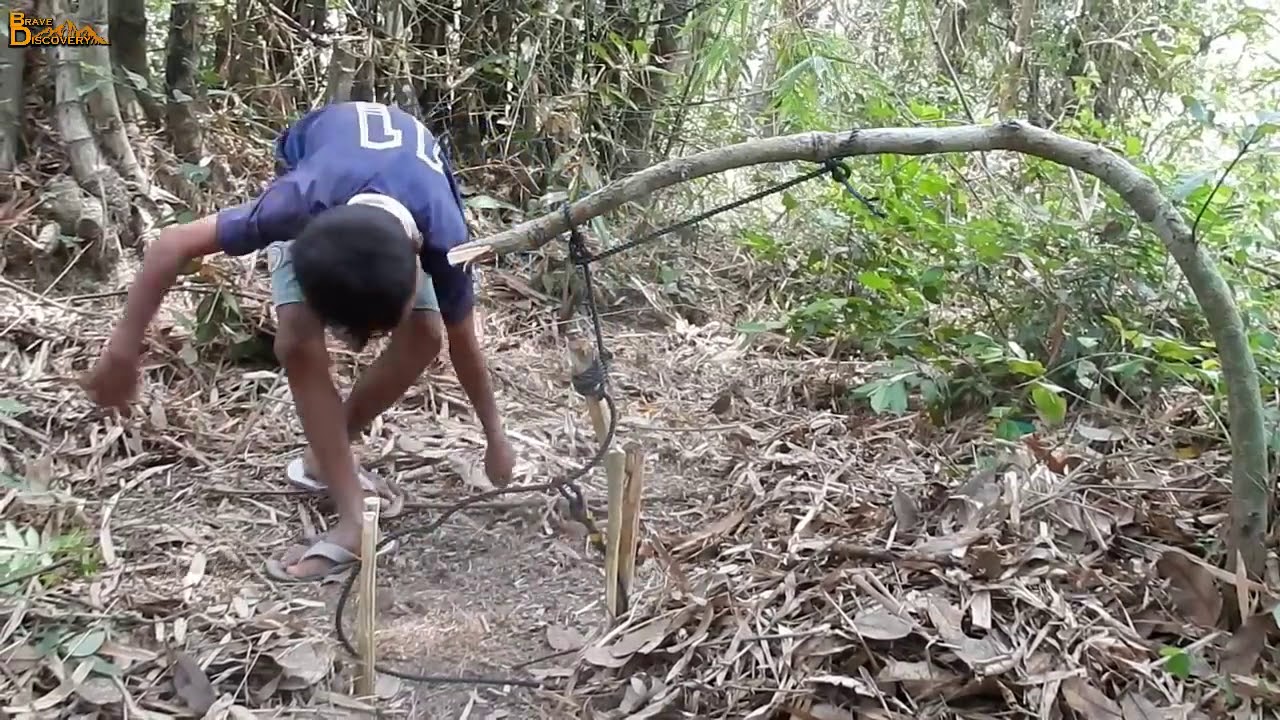 The First Creative Crocodile Trap Using Wood & Small chickens That Work ...