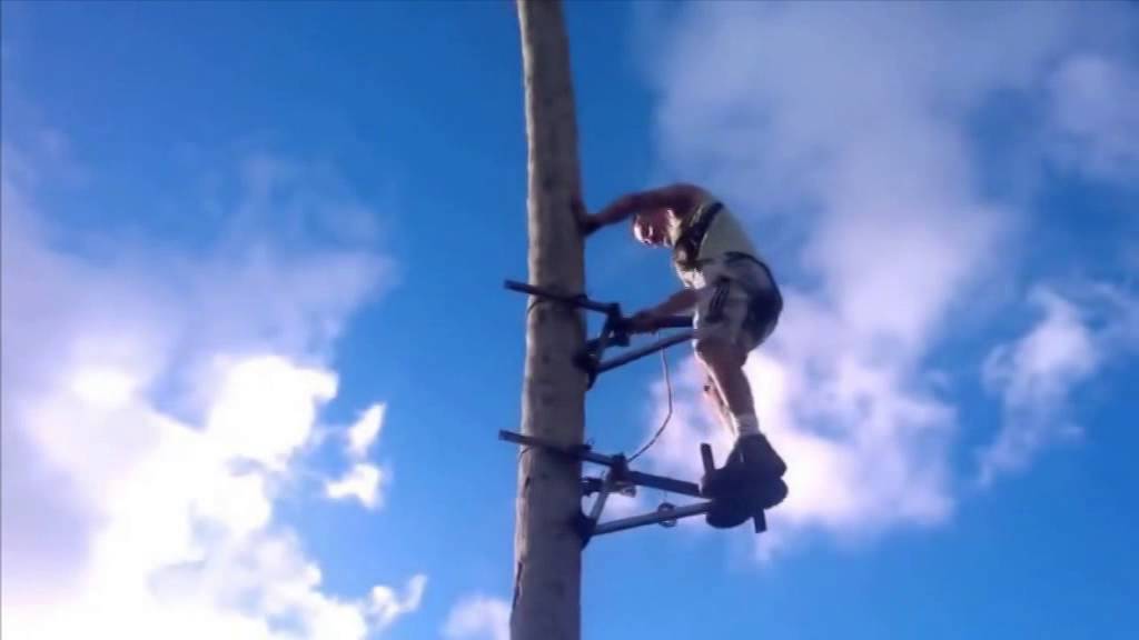 The invention of climbing trees - YouTube