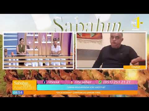 Millət vəkili Arzu Nağıyev cəbhə bölgəsində olan son vəziyyətdən danışdı