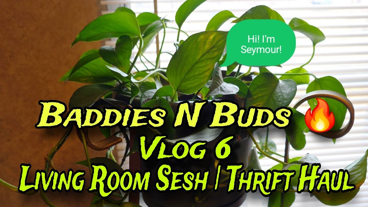 Living Room| Sesh Thrift Haul|Vlog 6|Baddies N Buds 🔥 - YouTube
