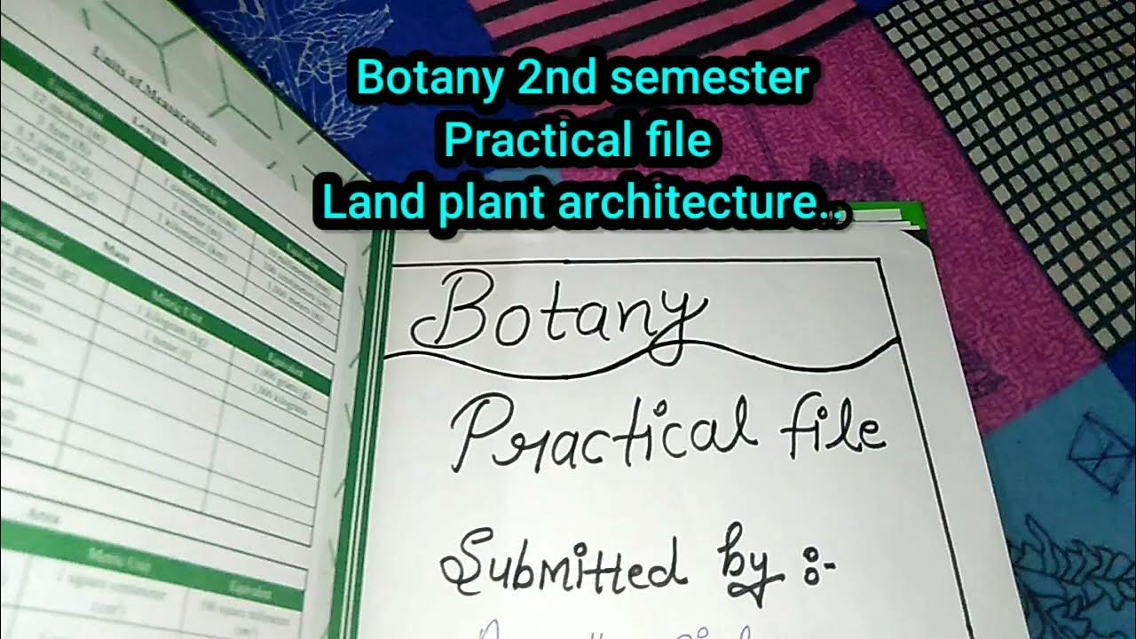 Botany 2nd semester practical file ... - YouTube