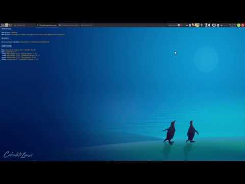 Le bilan après 5 ans sous Calculate Linux - YouTube