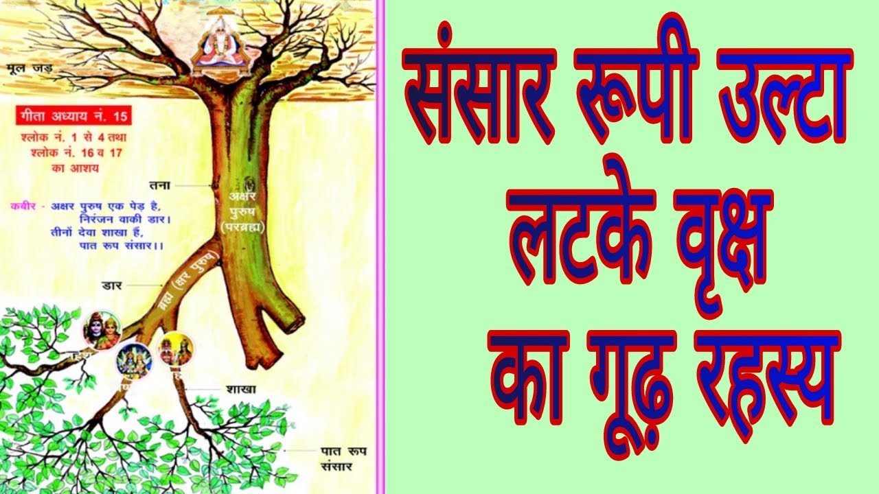 संसार रूपी उल्टा लटके वृक्ष का गूढ़ रहस्य - YouTube