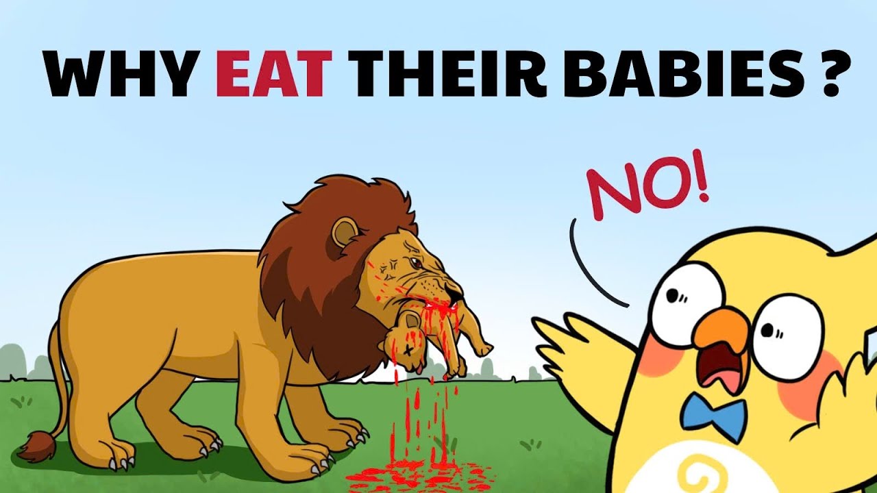 Why Do Animals Eat Their Babies? - YouTube