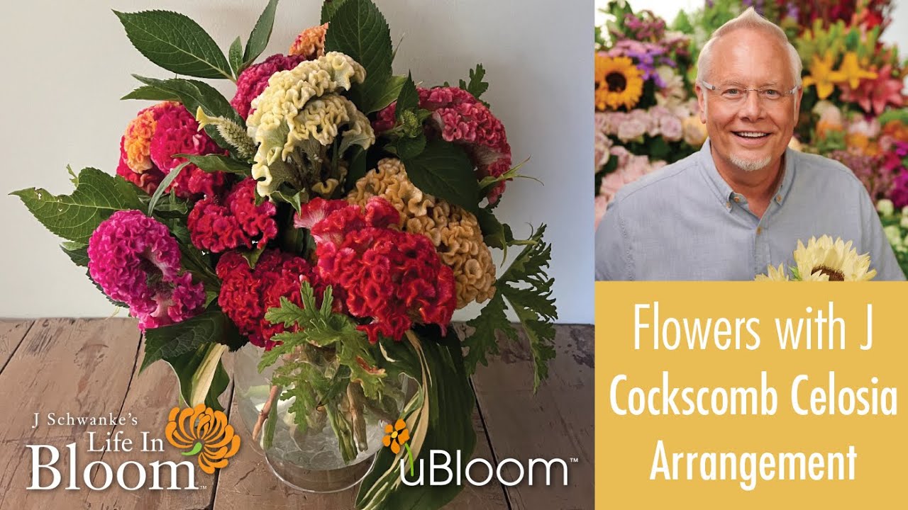 Cockscomb Celosia Arrangement- LIVE with J - YouTube