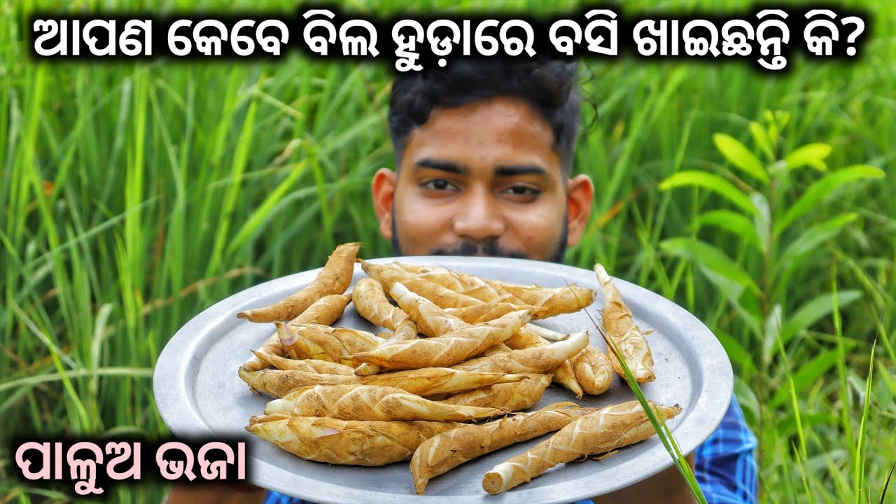 PALUA FRY | Arrowroot Recipe | Healthy Village Food | Healthy Root ...