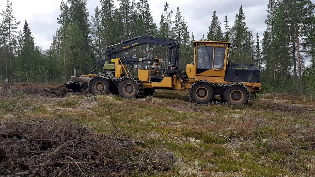 Tigercat 1075c markberedare - YouTube