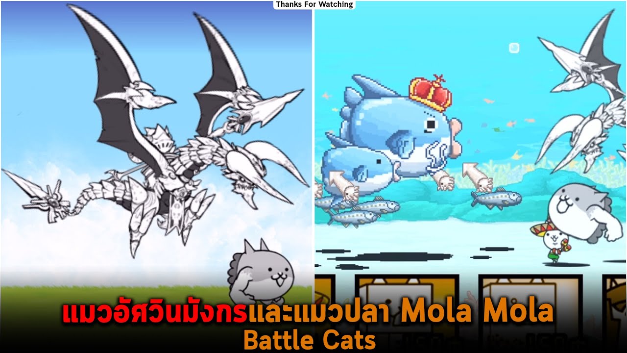 แมวอัศวินมังกรและแมวปลา Mola Mola Battle Cats - YouTube