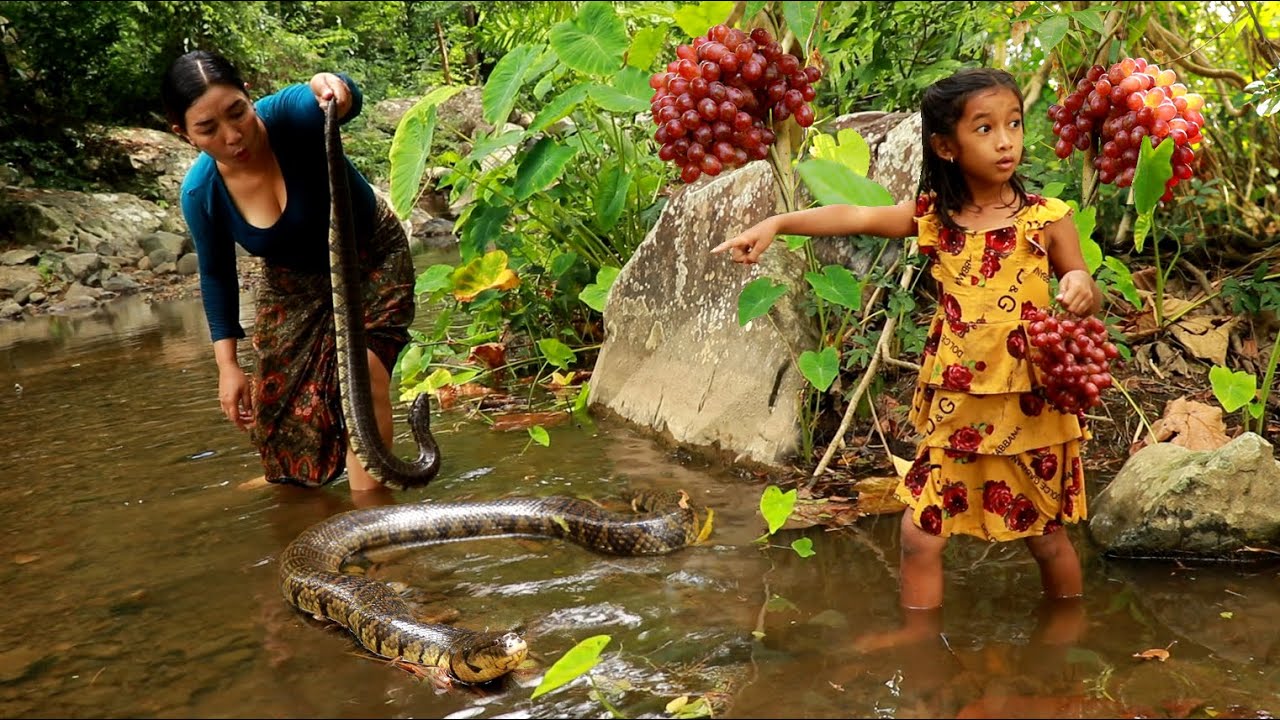 Catch big water snake at waterfall- Cooking water snake spicy with ...