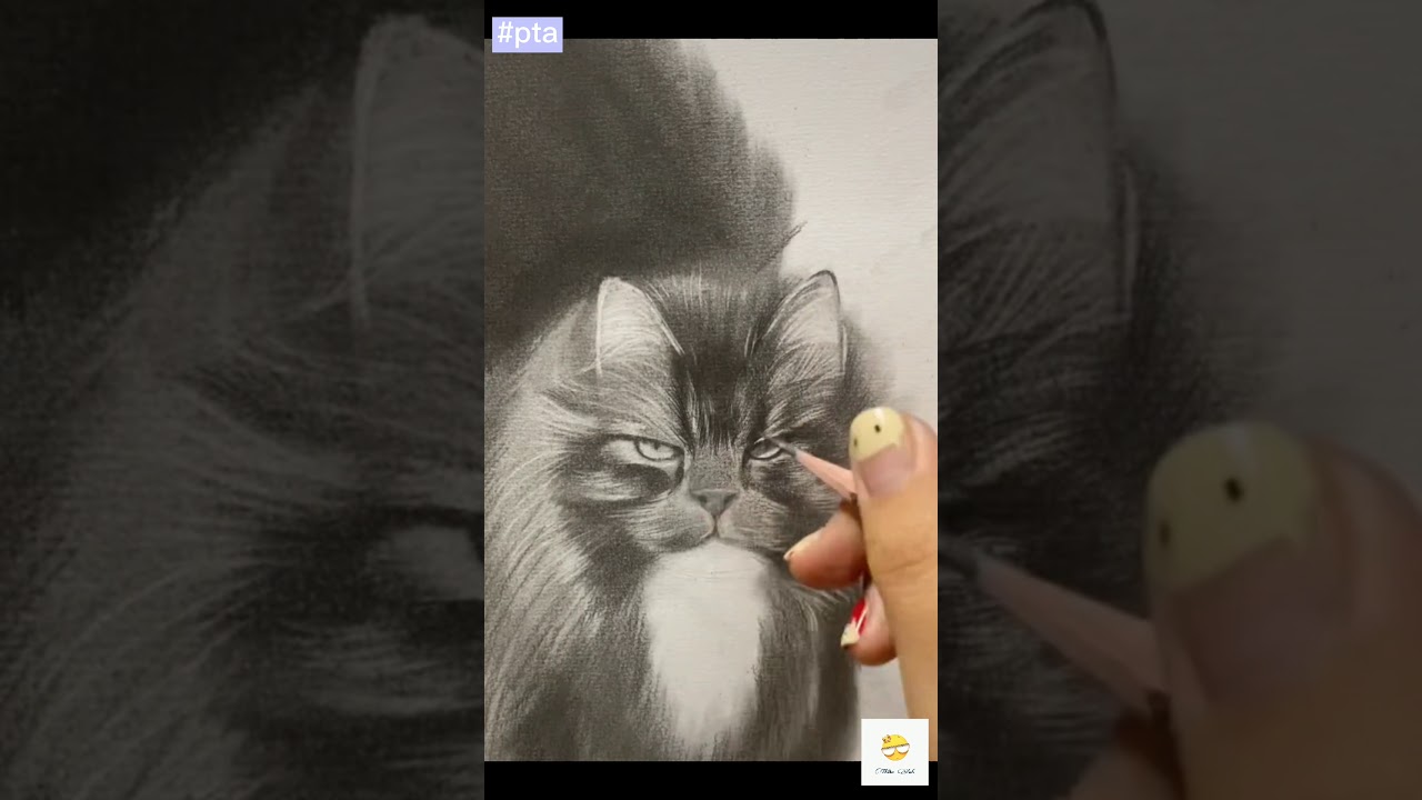 Hướng dẫn cách vẽ lông mèo đơn giản cho người mới bắt đầu