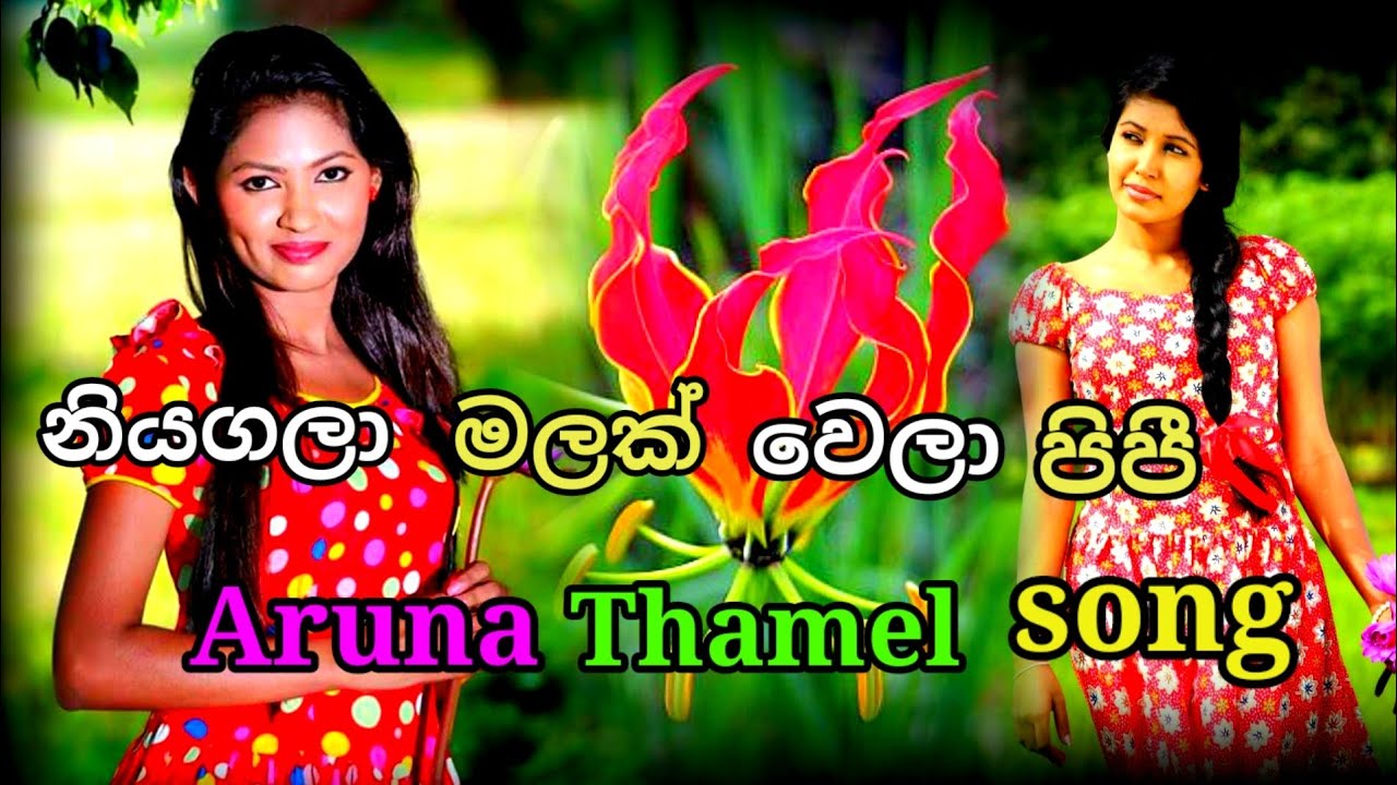 Niyagala malak wela pipi-Aruna thamel නියගලා මලක් වෙලා පිපී - YouTube