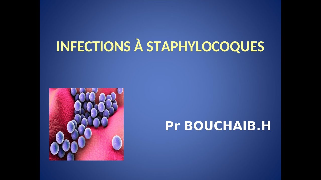 Infections à staphylocoques - YouTube