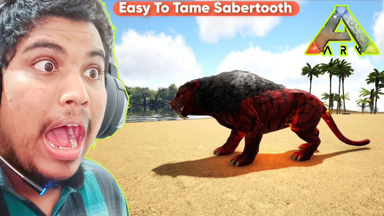 Finally I Tame Sabertooth In Ark Survival Evolved - YouTube