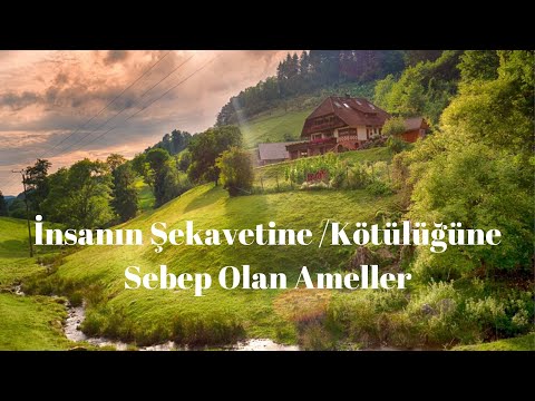 İnsanın Şekavetine-Kötülüğüne Sebep Olan Ameller