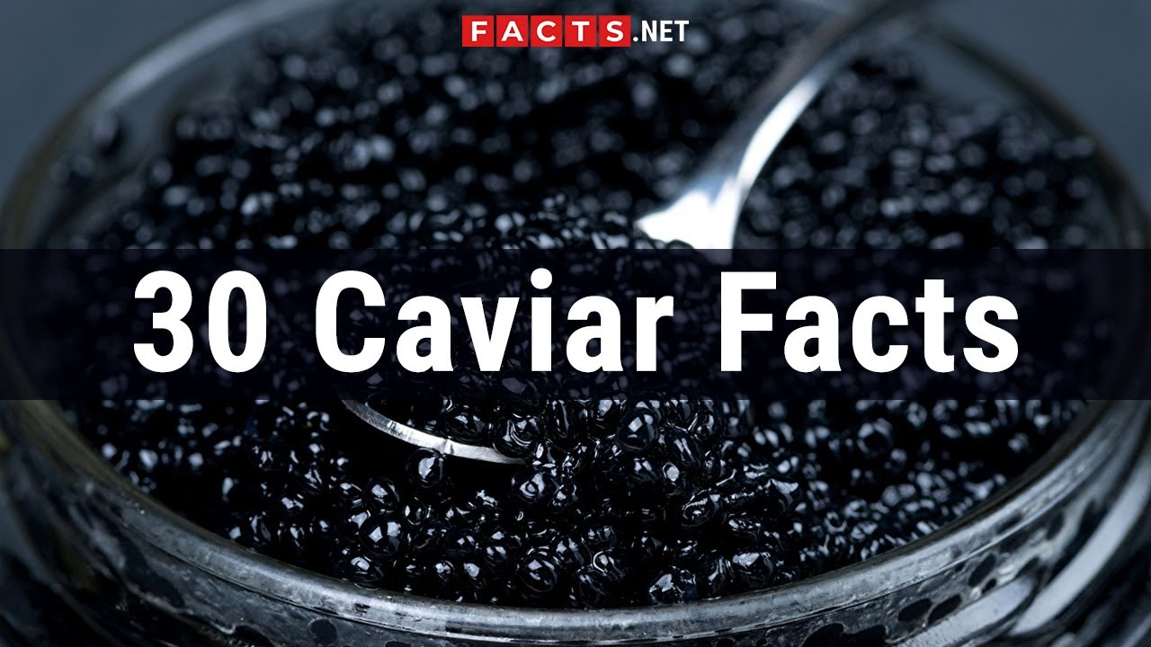 30 Caviar Facts About The Roe From The Sturgeon Beluga - YouTube