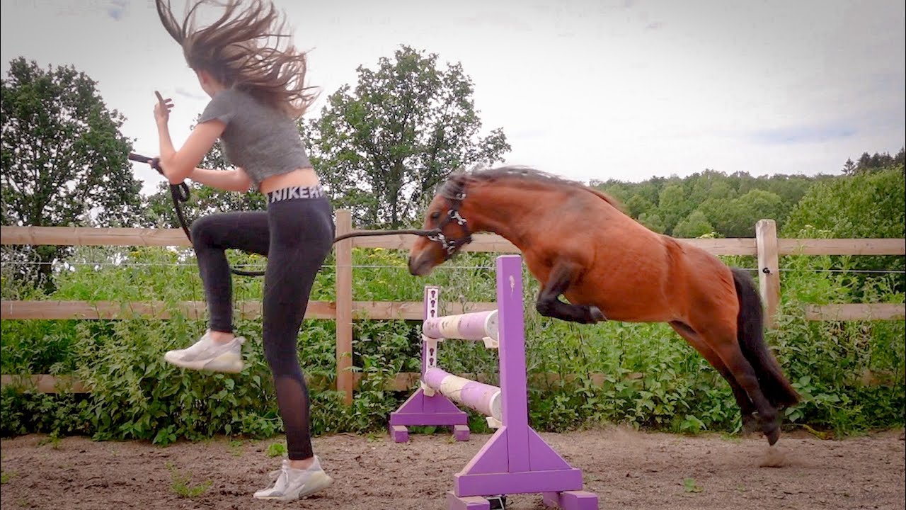 So hoch springt sie FREI! Minishetty Rapunzel am Springplatz - YouTube