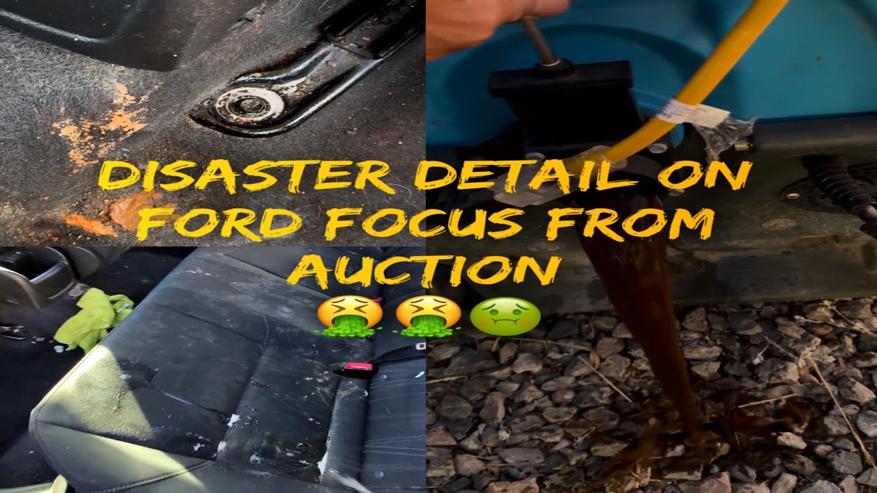 Disaster detail on ford focus from the auction using ray bands meta ...
