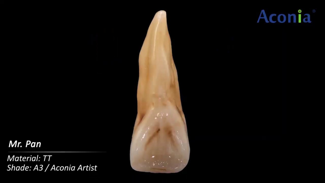 Aconia cases - YouTube