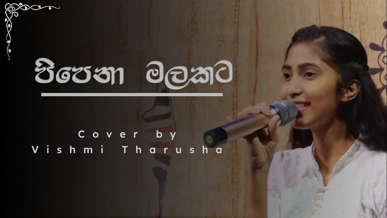 පිපෙනා මලකට | Pipena Malakata - Cover by Vishmi Tharusha - YouTube
