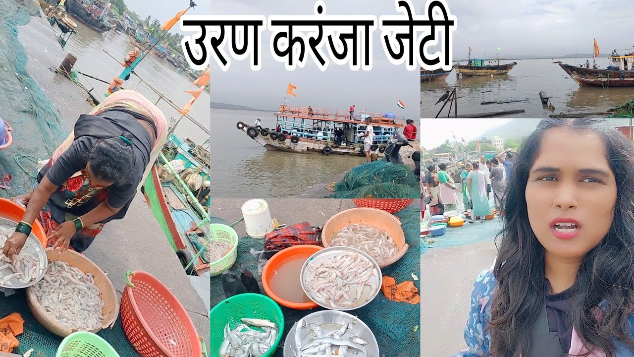 करंजा जेटी वरुण घेतली Fresh बोंबील मासा | Uran karanja fish Market ...