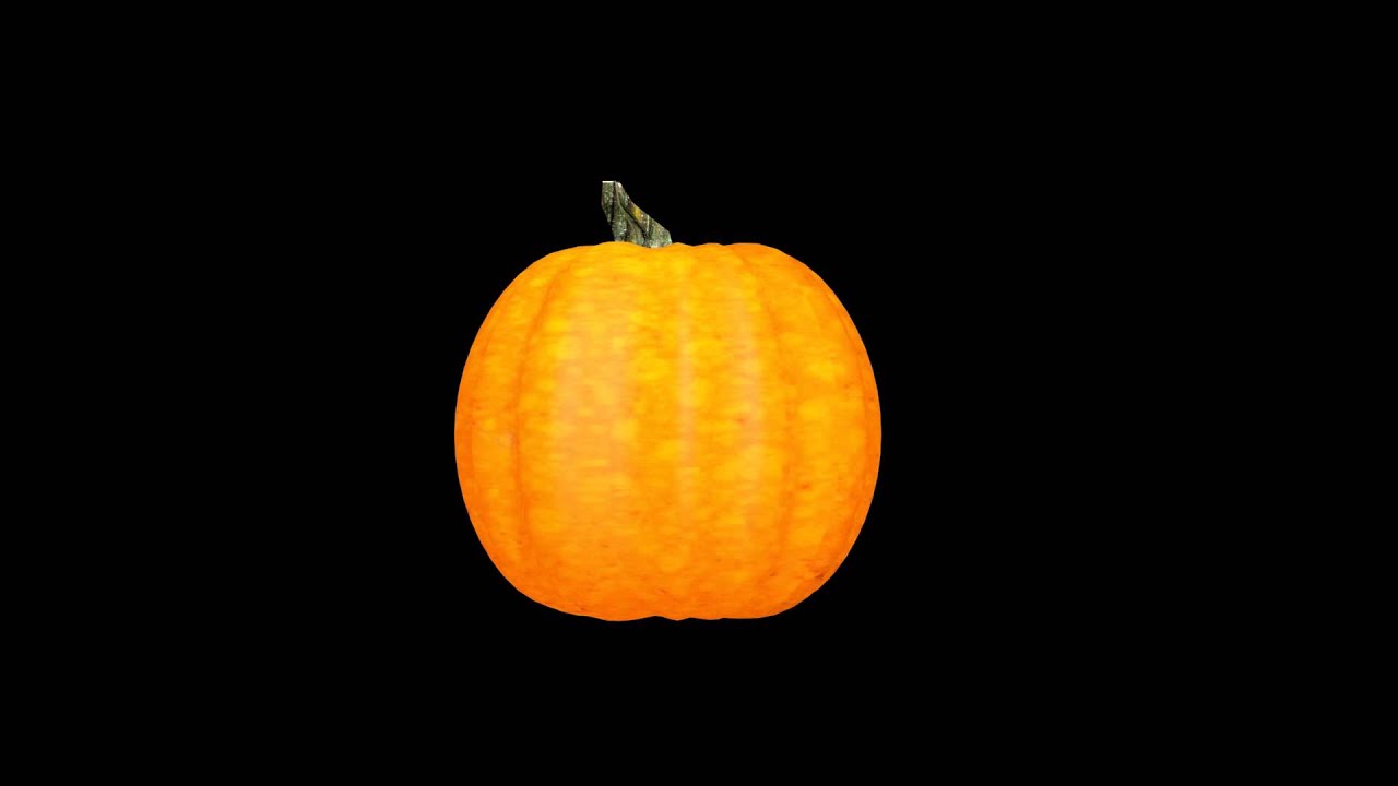 Rotating Pumpkin (black background) - FreeHDGreenscreen Footage - YouTube