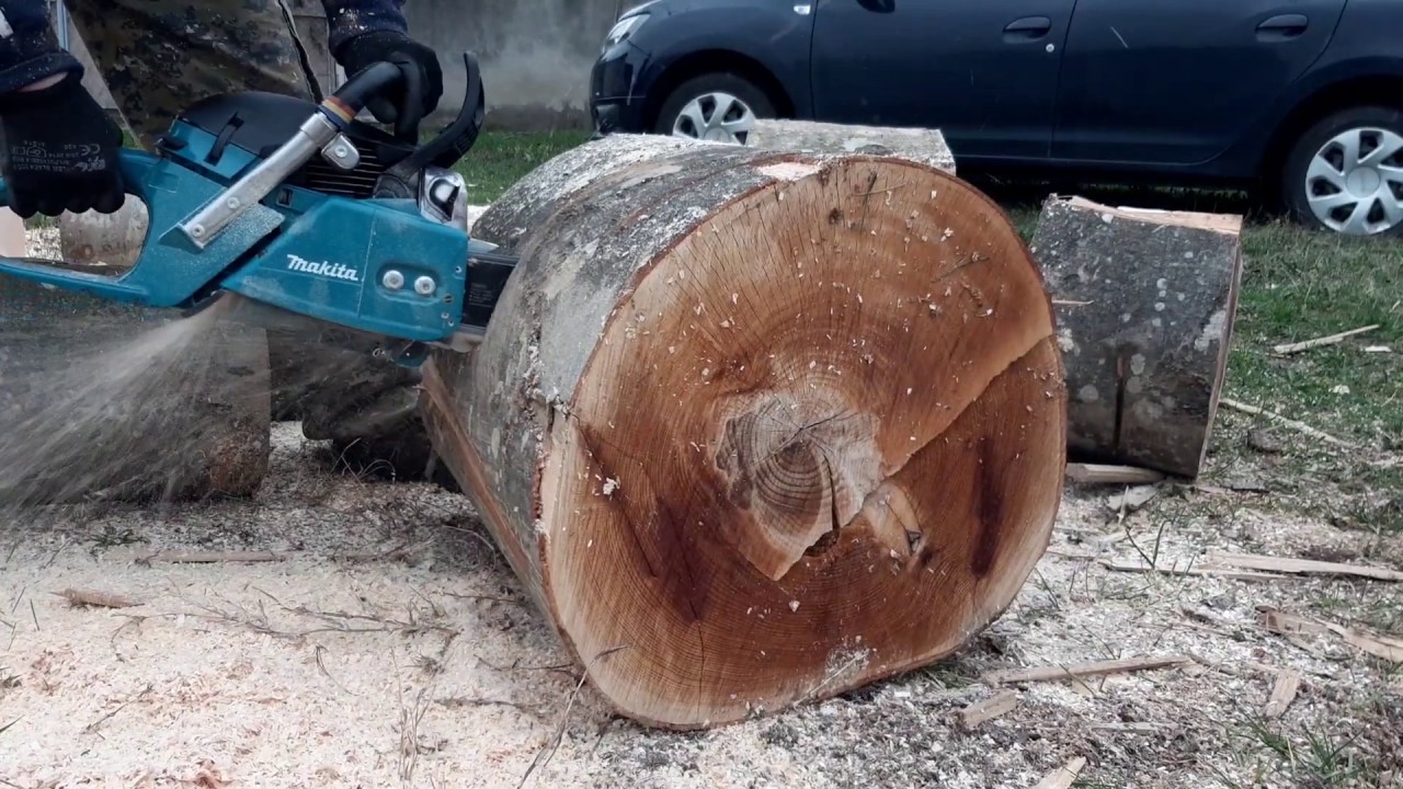 Drujba Makita 6401 în Lemn Gros de Fag/ Dolmar 6400 in Big Wood 16" B&C ...