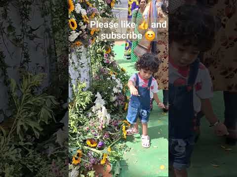 flowers 💐 pichi pilla - YouTube