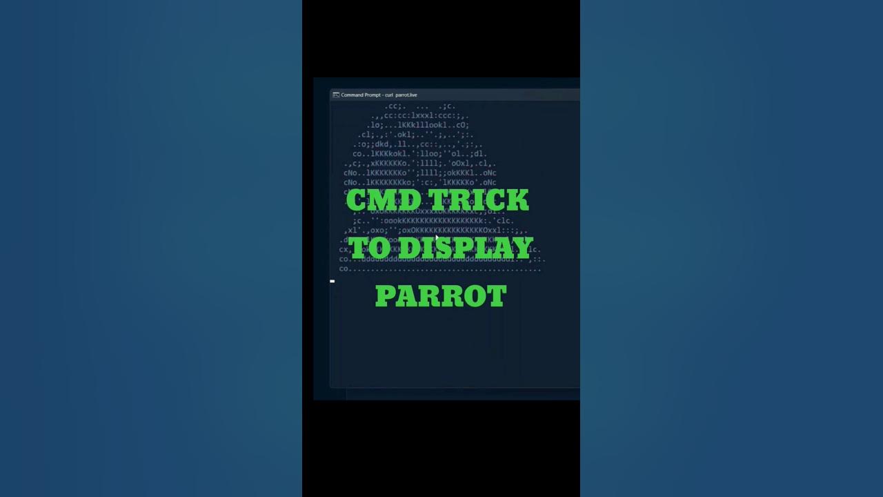 Command Prompt Trick To Display Parrot Shorts Tricks Cmd Youtube