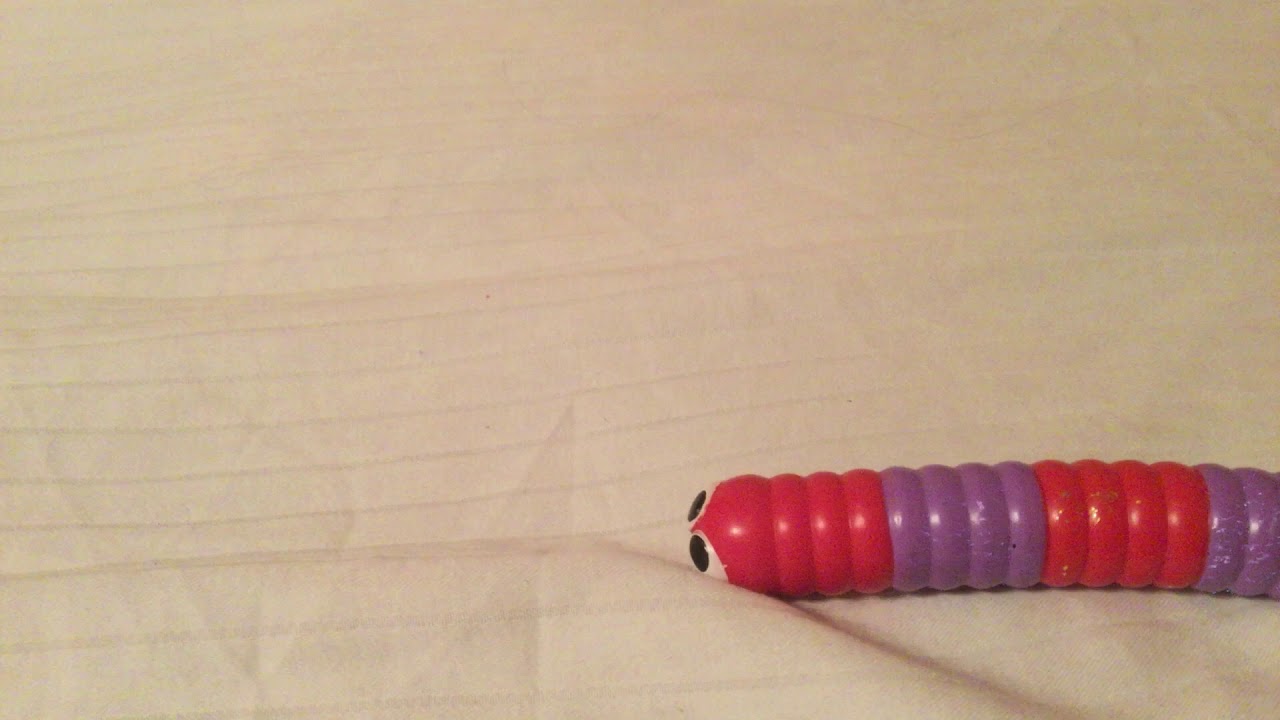 My stop motion guest vs worm - YouTube