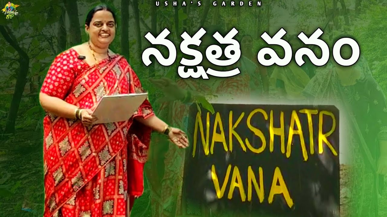 నక్షత్రవనం|Nakshatra Vanam|ఏ నక్షత్రంవారు ఏ చెట్టుకు ప్రదక్షణ చేయాలి ...