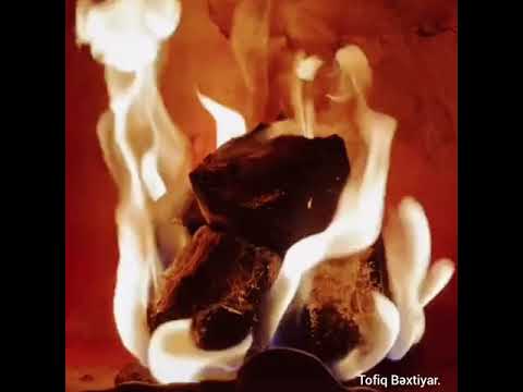 Tofiq Bəxtiyar. Ğəyliyən. Məqsəd Aranlı.