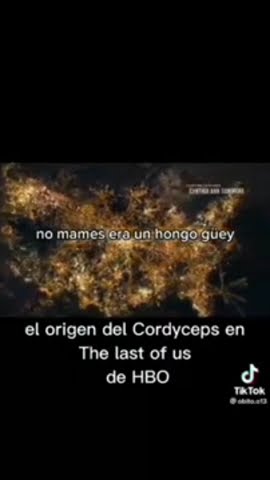 Patatin lo inicio todo #3 #humor #humor #memes #xd - YouTube