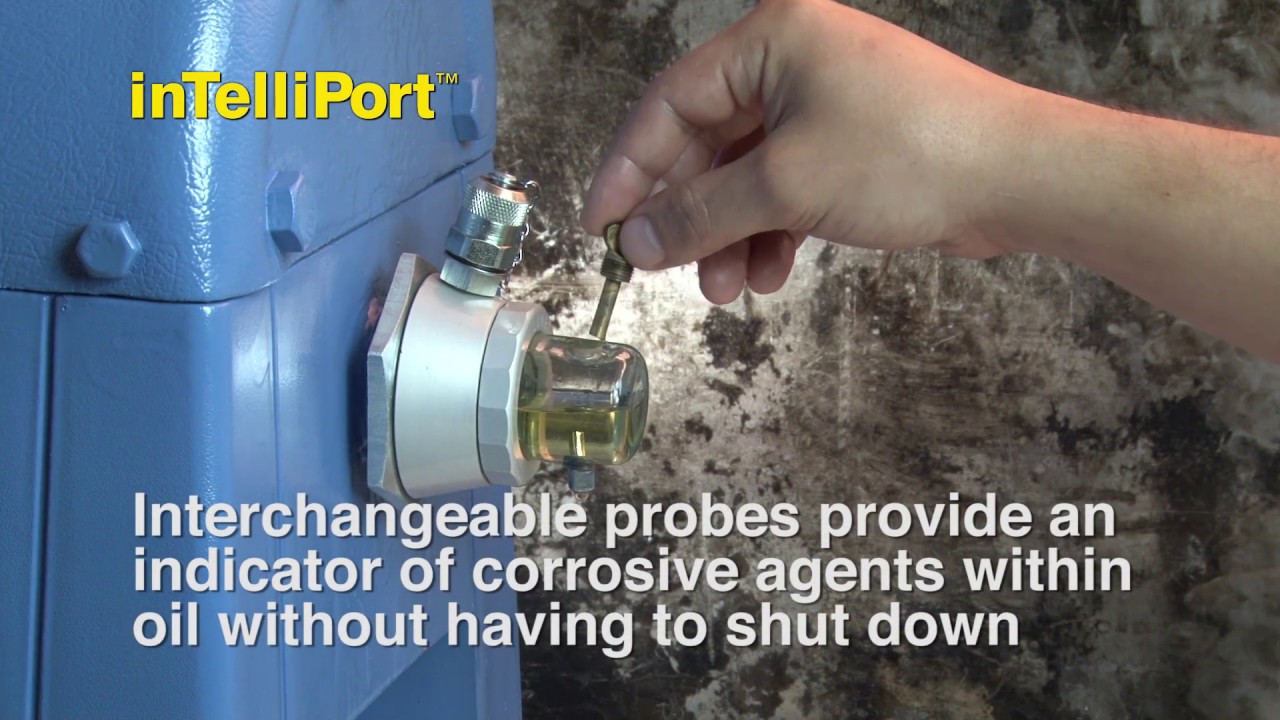 OilSafe® InTelliPort™ - Fluid Analysis System and Sight Glasses - YouTube
