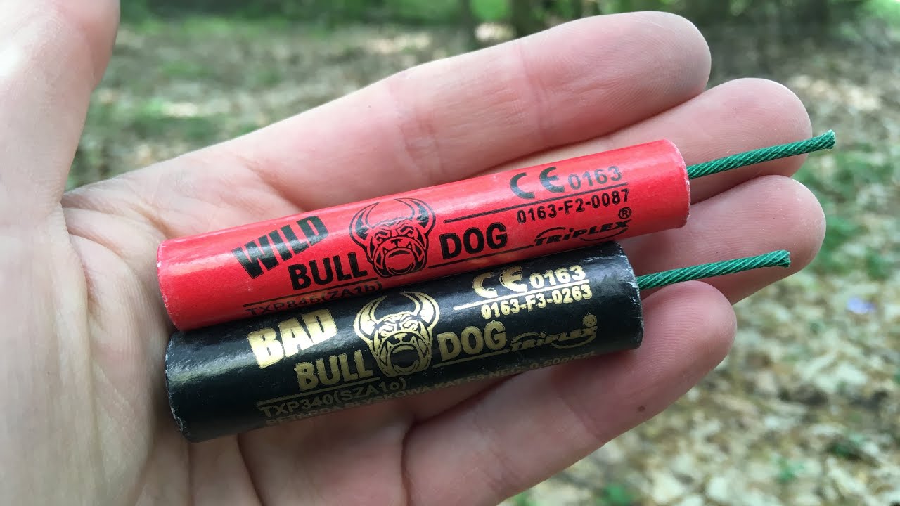 Pojedynek petard WILD BULL DOG vs BAD BULL DOG od Triplexa ! - YouTube