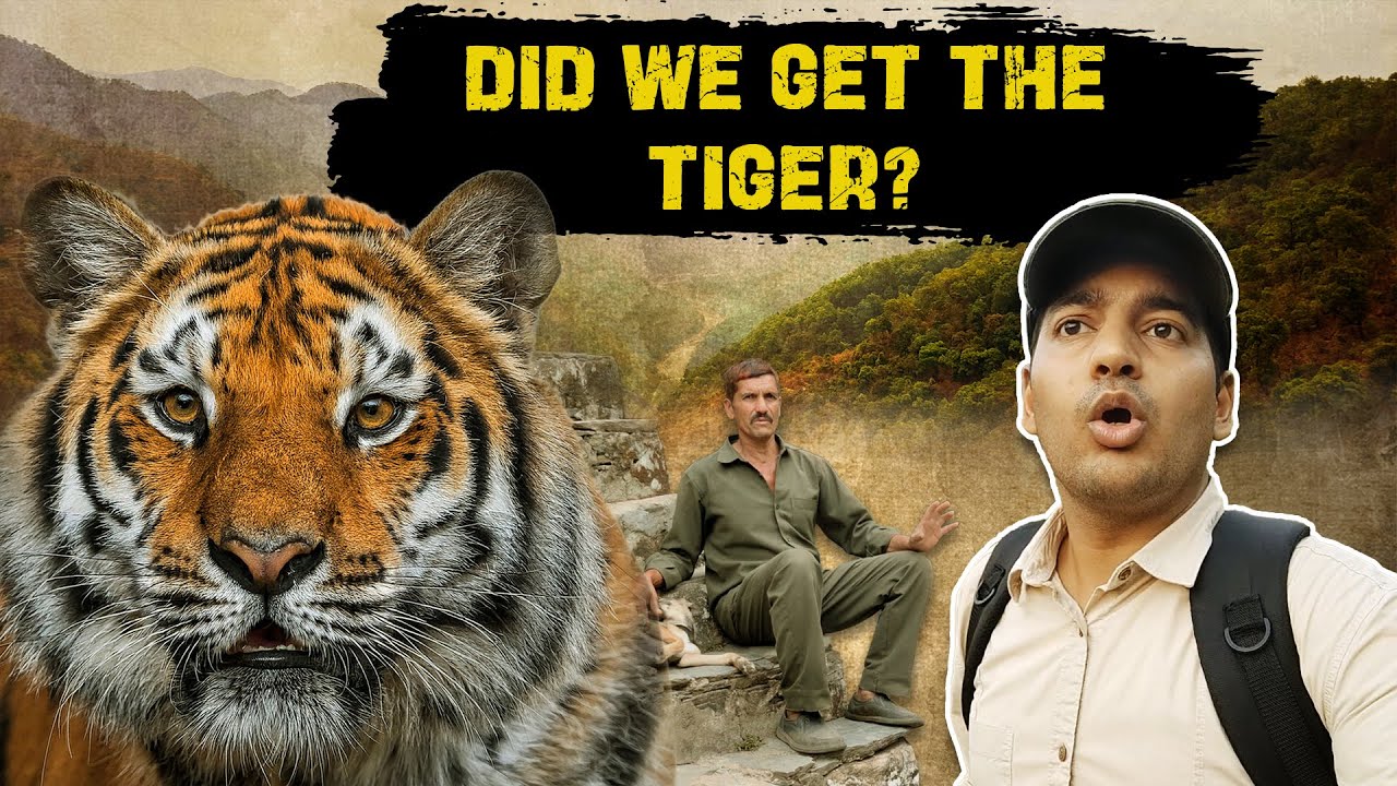 Did My Camera Trap Catch a Tiger? | Tracking Tigers in a Hidden Place ...