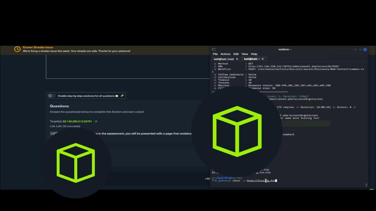 Web Fuzzing Skill Assessment -HTB - YouTube