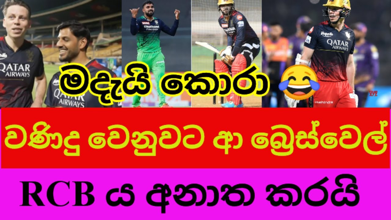 වණිදු වෙනුවට ආ බ්‍රෙස්වෙල් rcb ය අනාත කරයි | ipl 2023 | wanidu ...