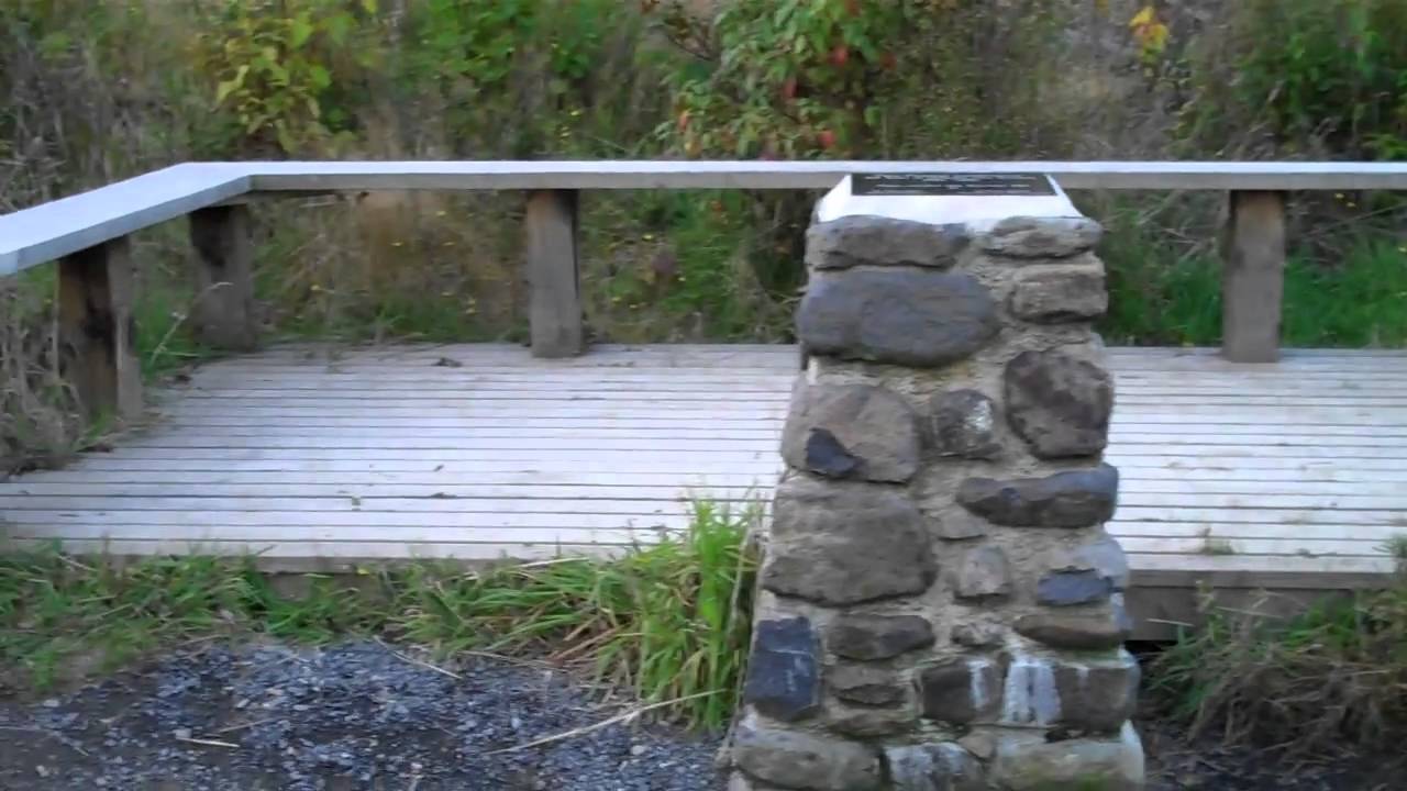 McGouns-Pineapple Track Loop - YouTube