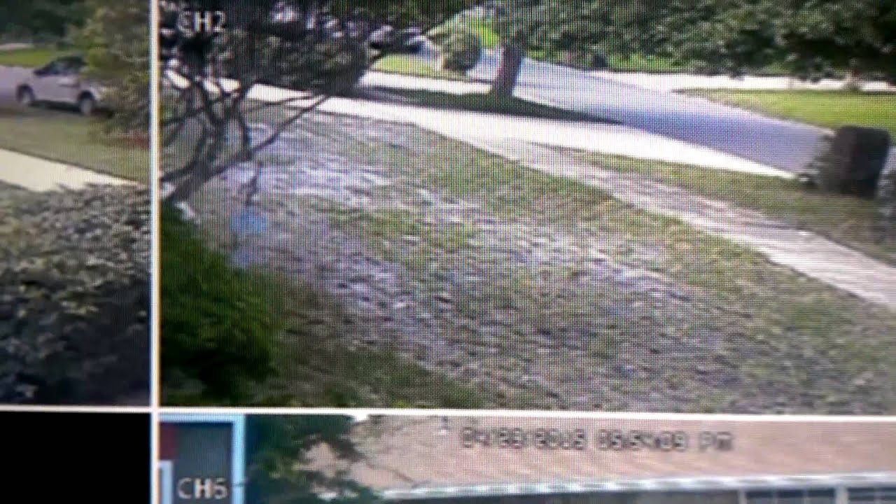 Sheyda Gordon thief nuisance - YouTube