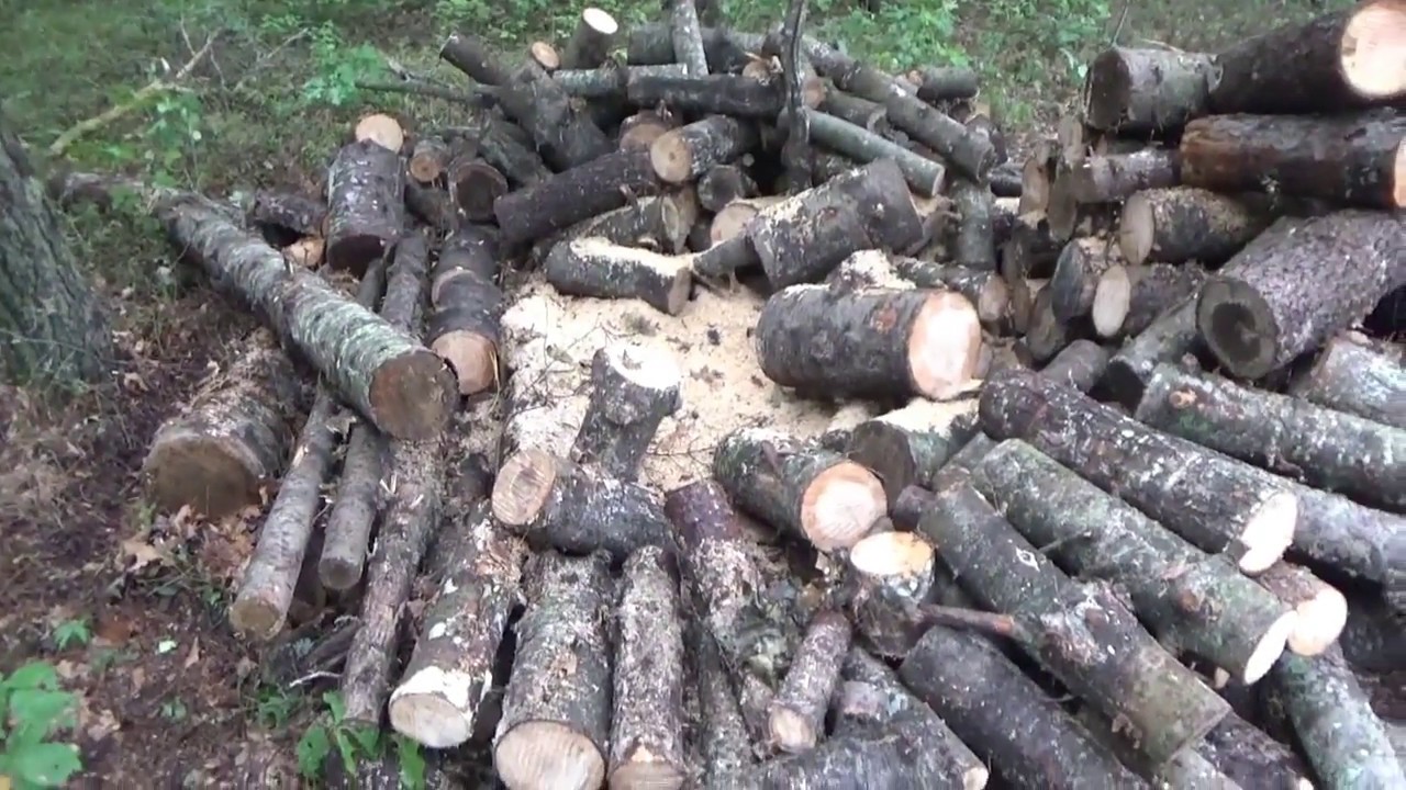 The Off Grid Project Wood Stove Cooking Fire Wood & More - YouTube