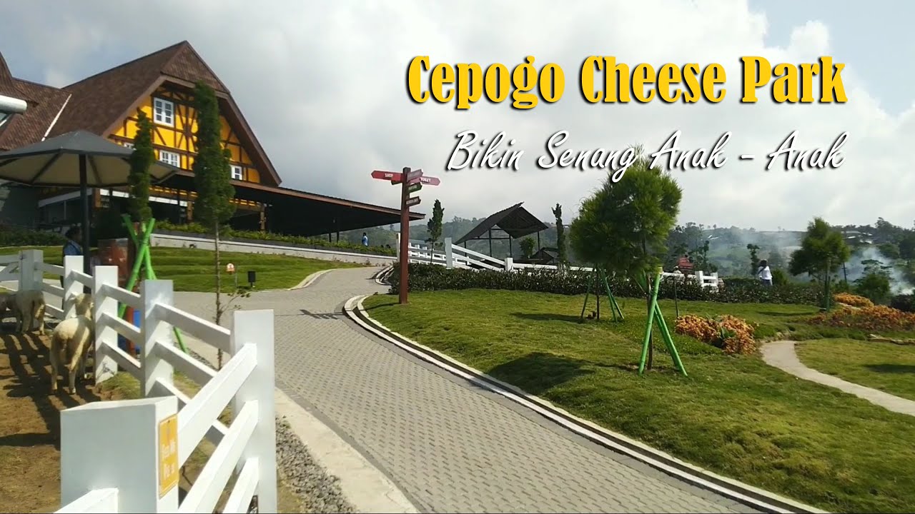 Cepogo Cheese Park Cimory Tempat Wisata Keluarga Terbaru Di Boyolali ...