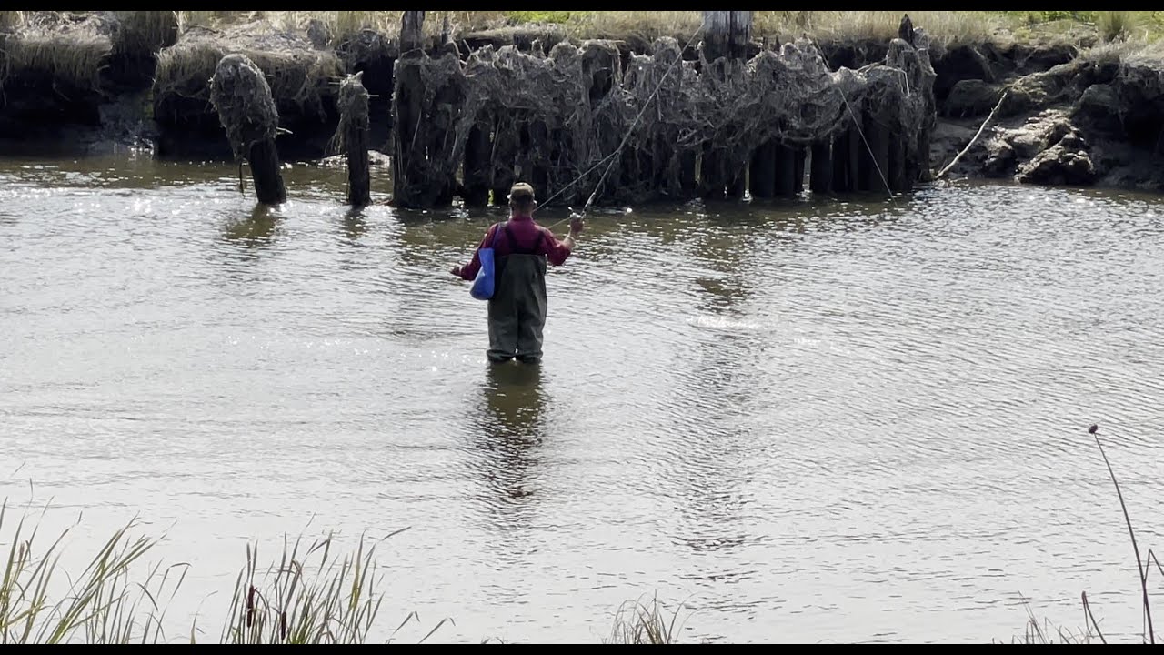 Samish River #fishing Latest Update at 11AM 8-19-2023, and new Samish ...