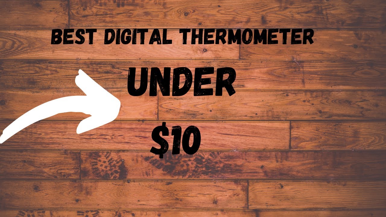Cheap $10 Digital thermometer review! Amazon's Choice and ours too ...