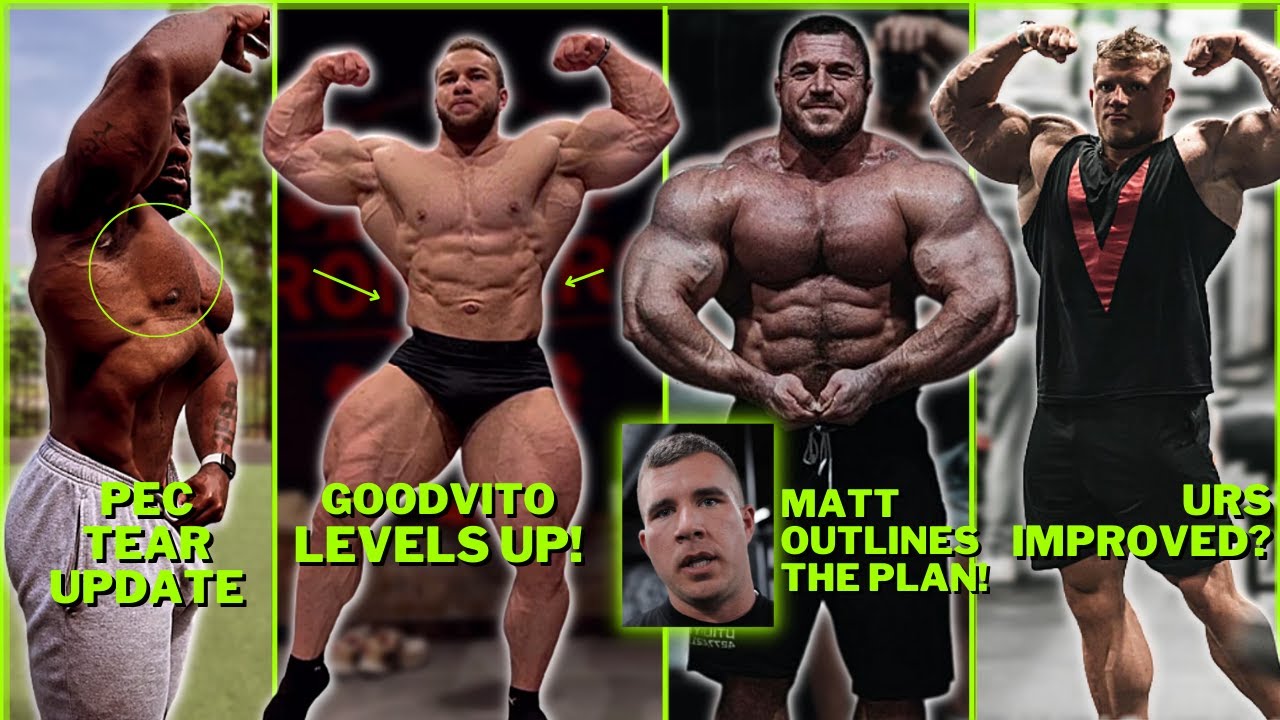 Matt Jansen reveals plans for Brett Wilkin - GoodVito 14 wks out - Urs ...