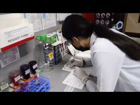 Vlog 05: A Day in the life: Medtech Intern - YouTube