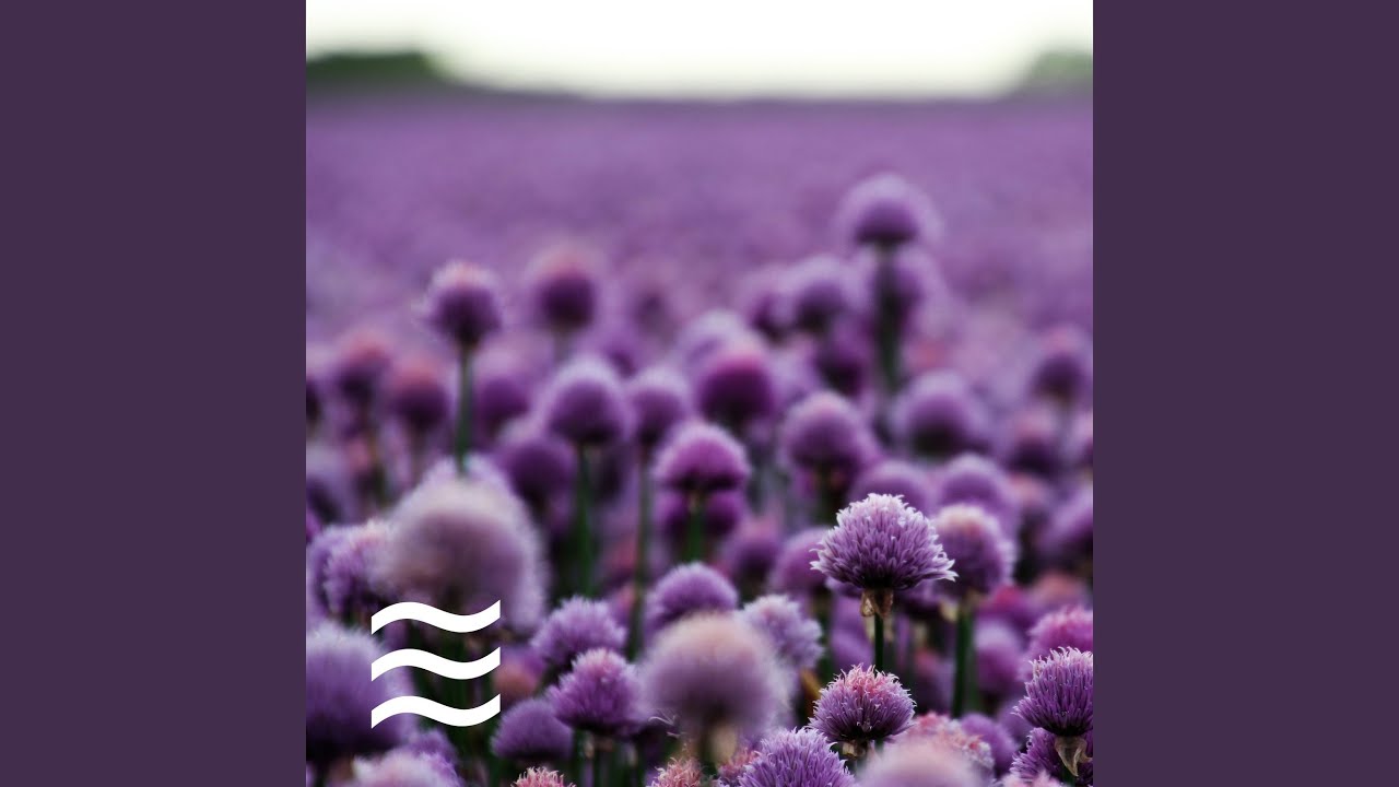 Mellow Water Sounds - YouTube