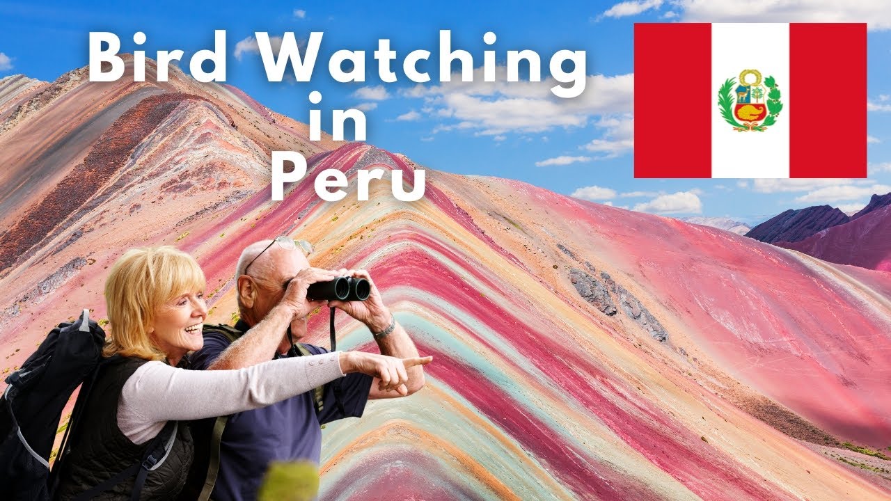 Birding Paradise: Exploring the Spectacular Birds of Peru - YouTube