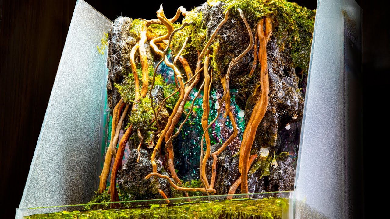 Dripping Shiny Cave Paludarium - YouTube