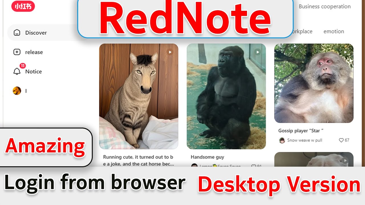 How to open Rednote app account on my laptop computer Rednote ...