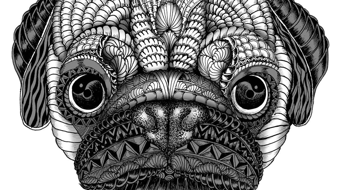 Zentangle#56 A pug was drawn in Zentangle. - YouTube